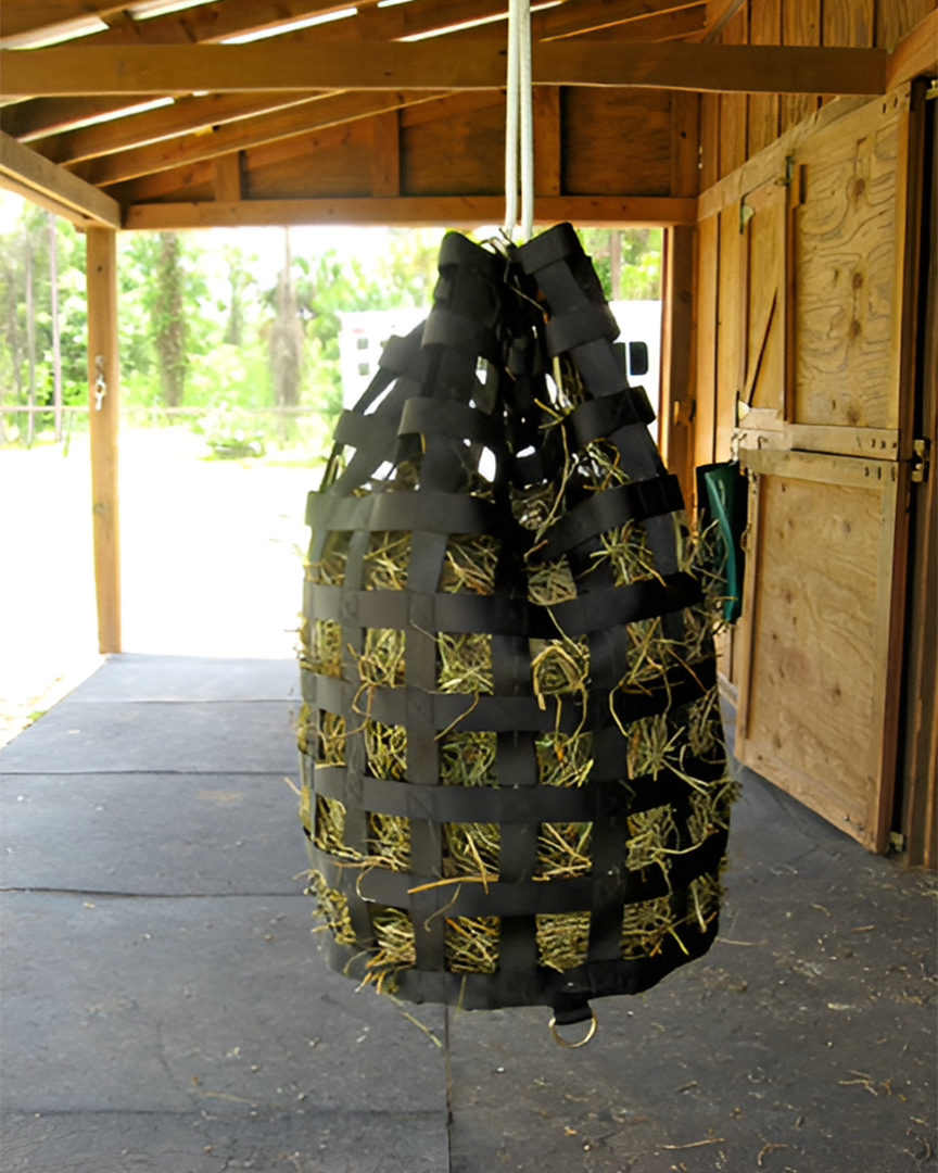 Thin Air Canvas Home of the NibbleNet