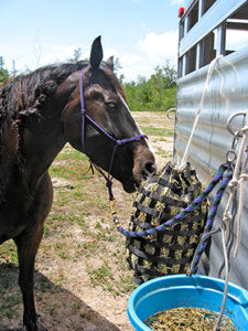 NibbleNet ® Nibble Go-Round Standard – ThinAirCanvas